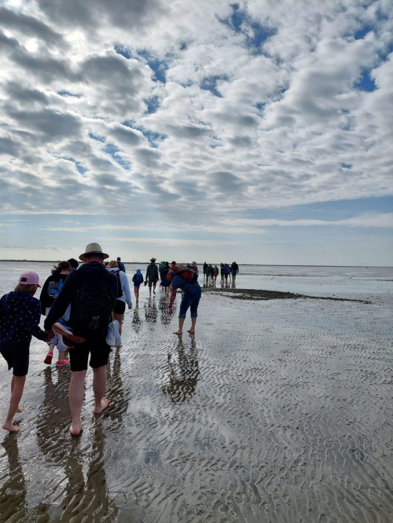 Wattwanderung - CJD-Update